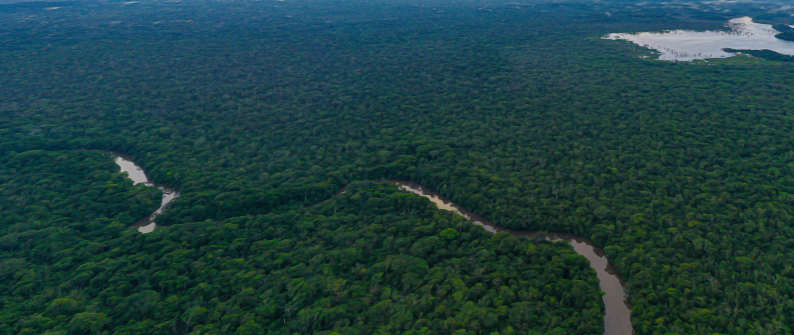 Botum Sakor National Park | Ongerept | Veelzijdig Cambodja